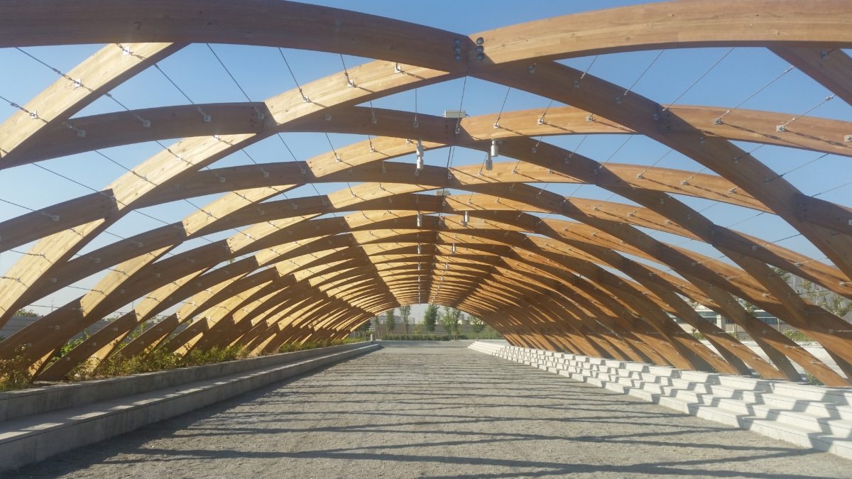 TimberLab evolves | assist with your awesome projects