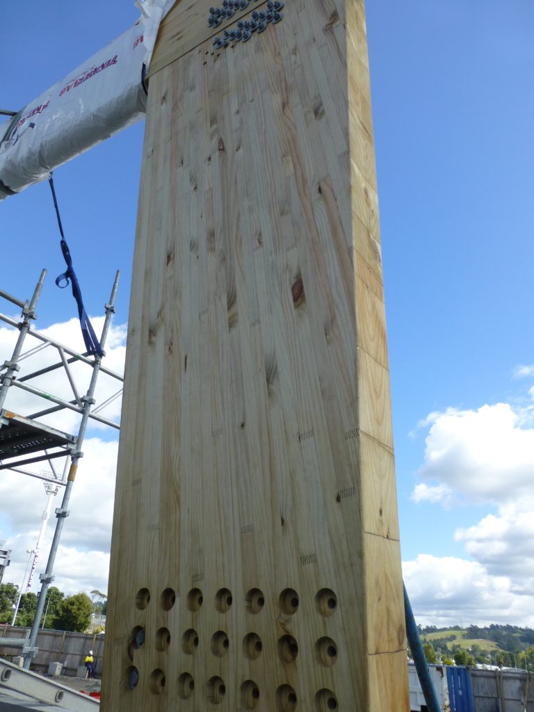 TimberLab Glulam portal frames; the backbone of Albany Pool