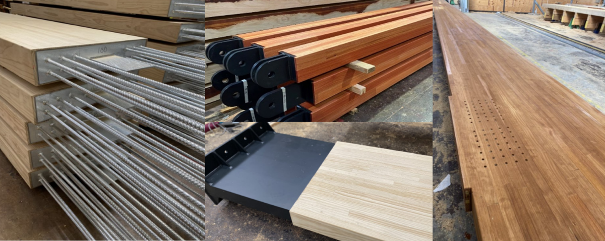 TimberLab mass timber structure | The Pā, University Waikato.