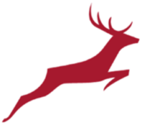 Glulam Adhesives | Red Stag TimberLab