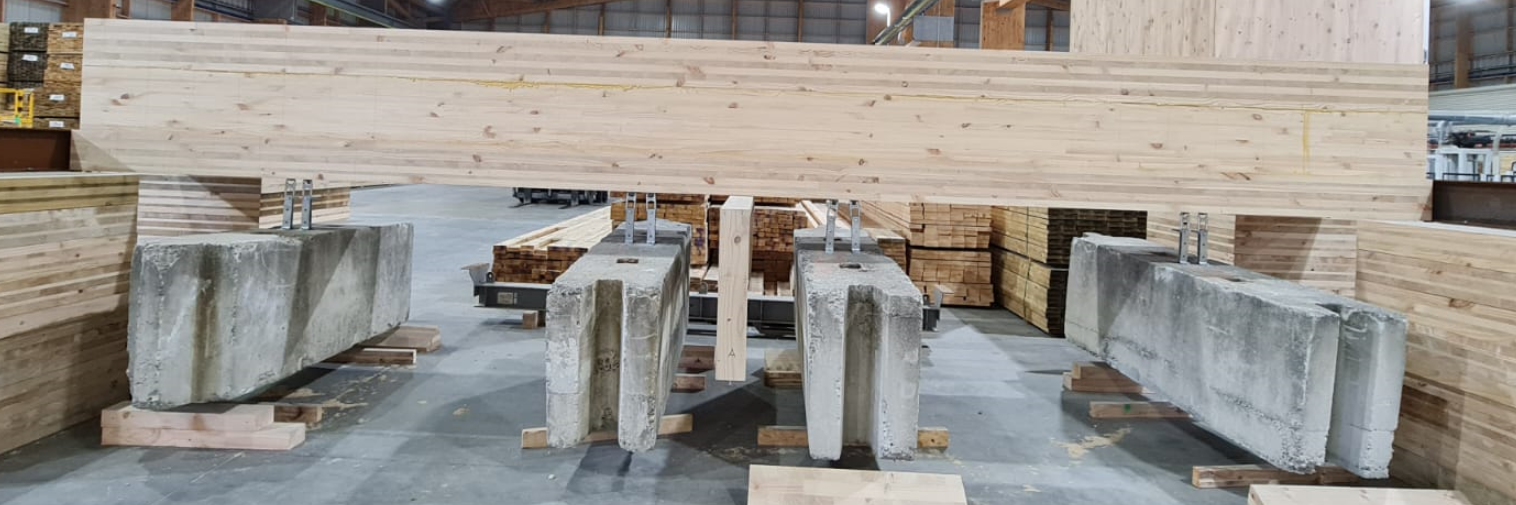 Living Pā Case Study